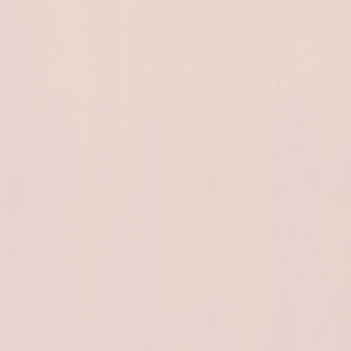 Blushing Pink – Peter Lewis Paints Pty Ltd