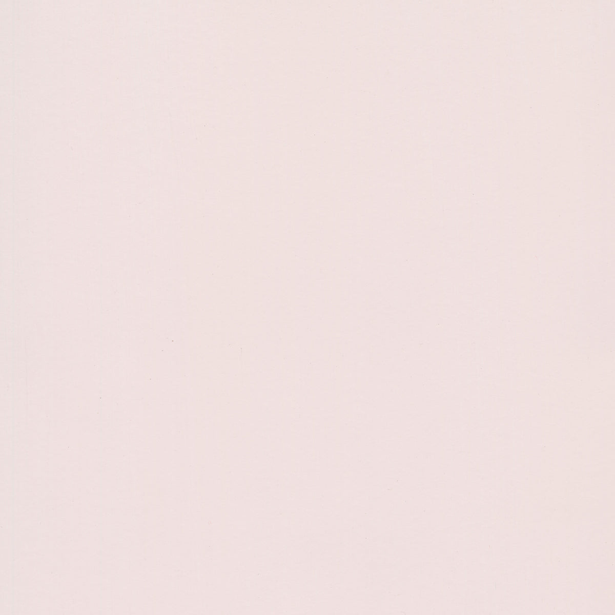 Pink Crush – Peter Lewis Paints Pty Ltd