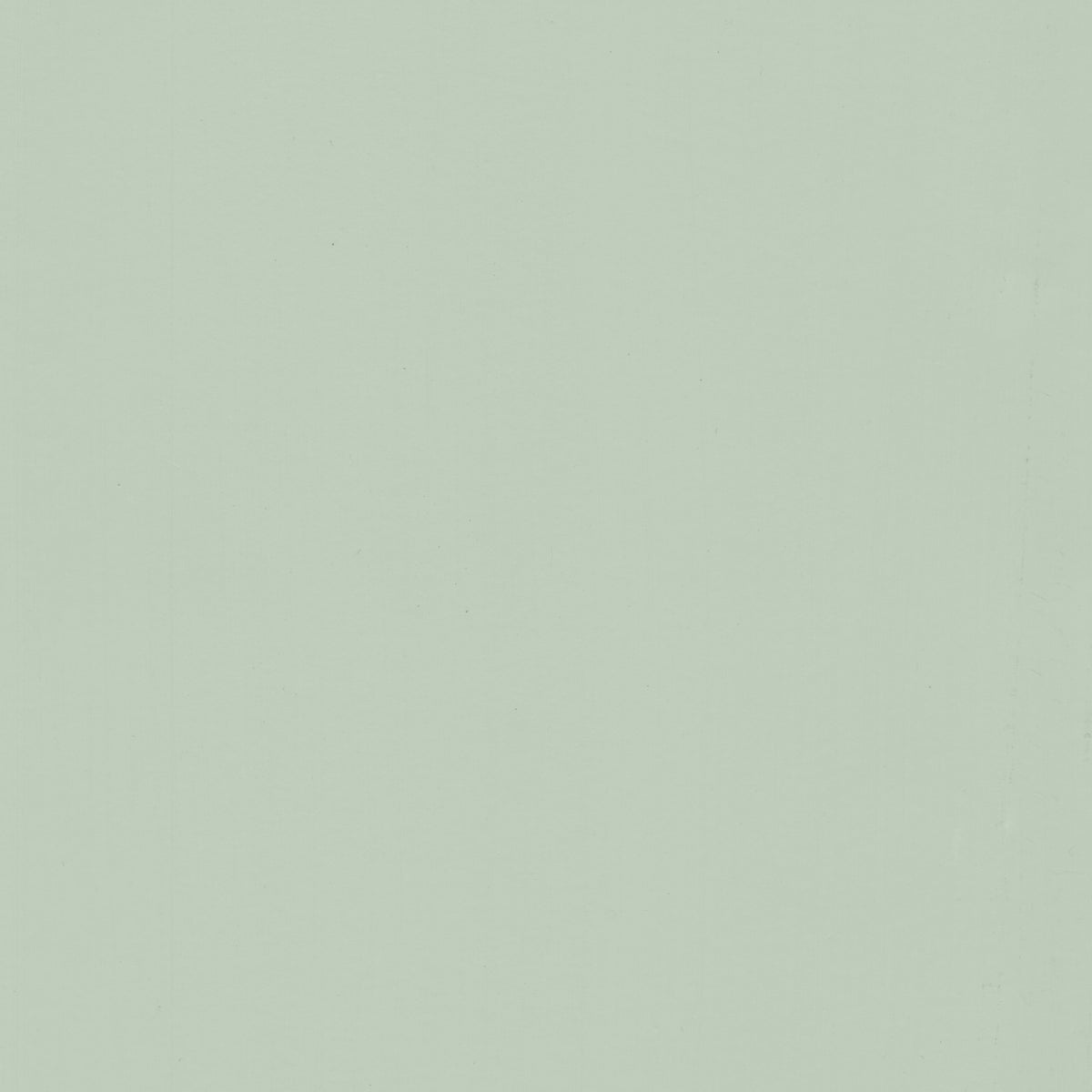 Newport Green – Peter Lewis Paints Pty Ltd