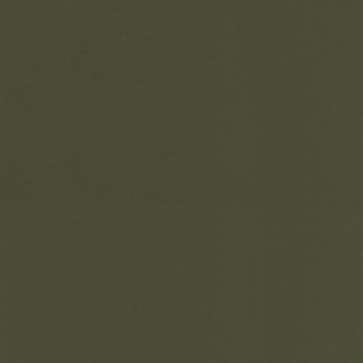 Congo Green – Peter Lewis Paints Pty Ltd