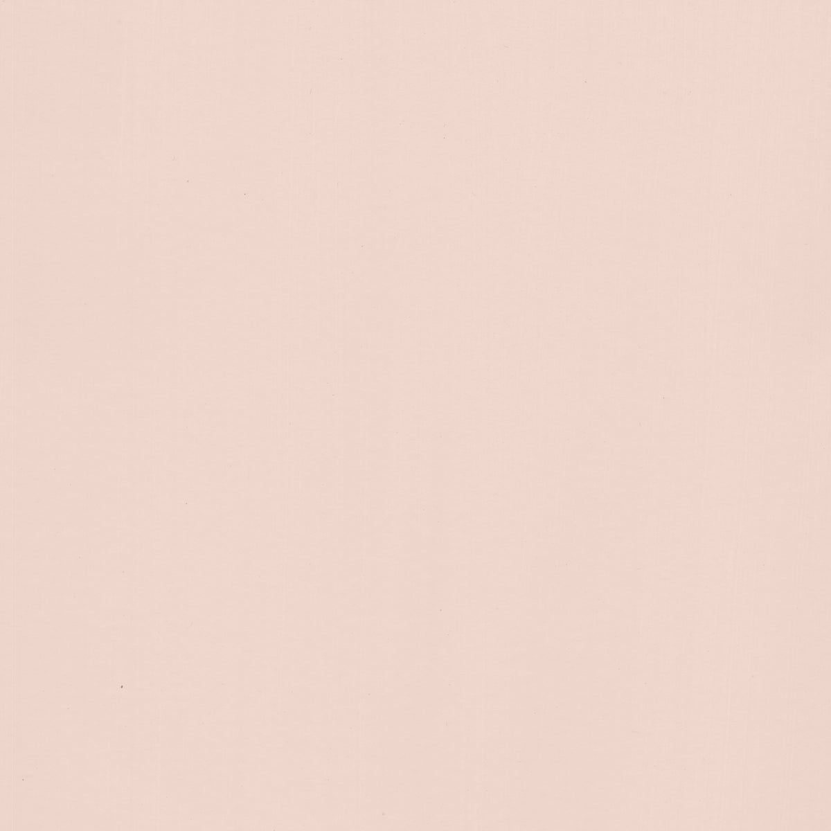 Lotus Pink – Peter Lewis Paints Pty Ltd