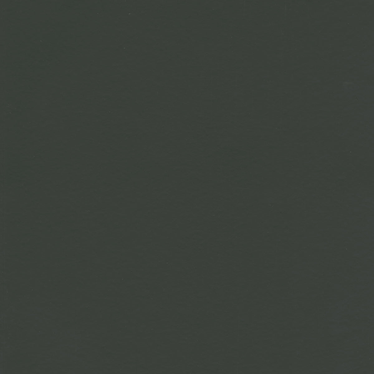 Extra Dark Green – Peter Lewis Paints Pty Ltd