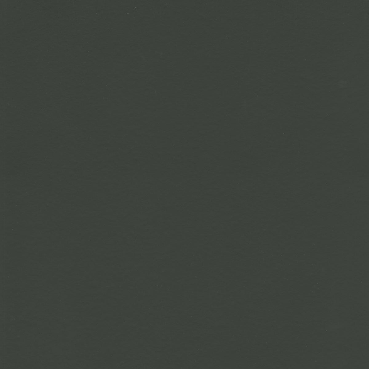 Dusky Green – Peter Lewis Paints Pty Ltd