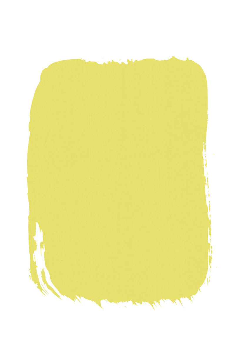 Primrose – Peter Lewis Paints Pty Ltd