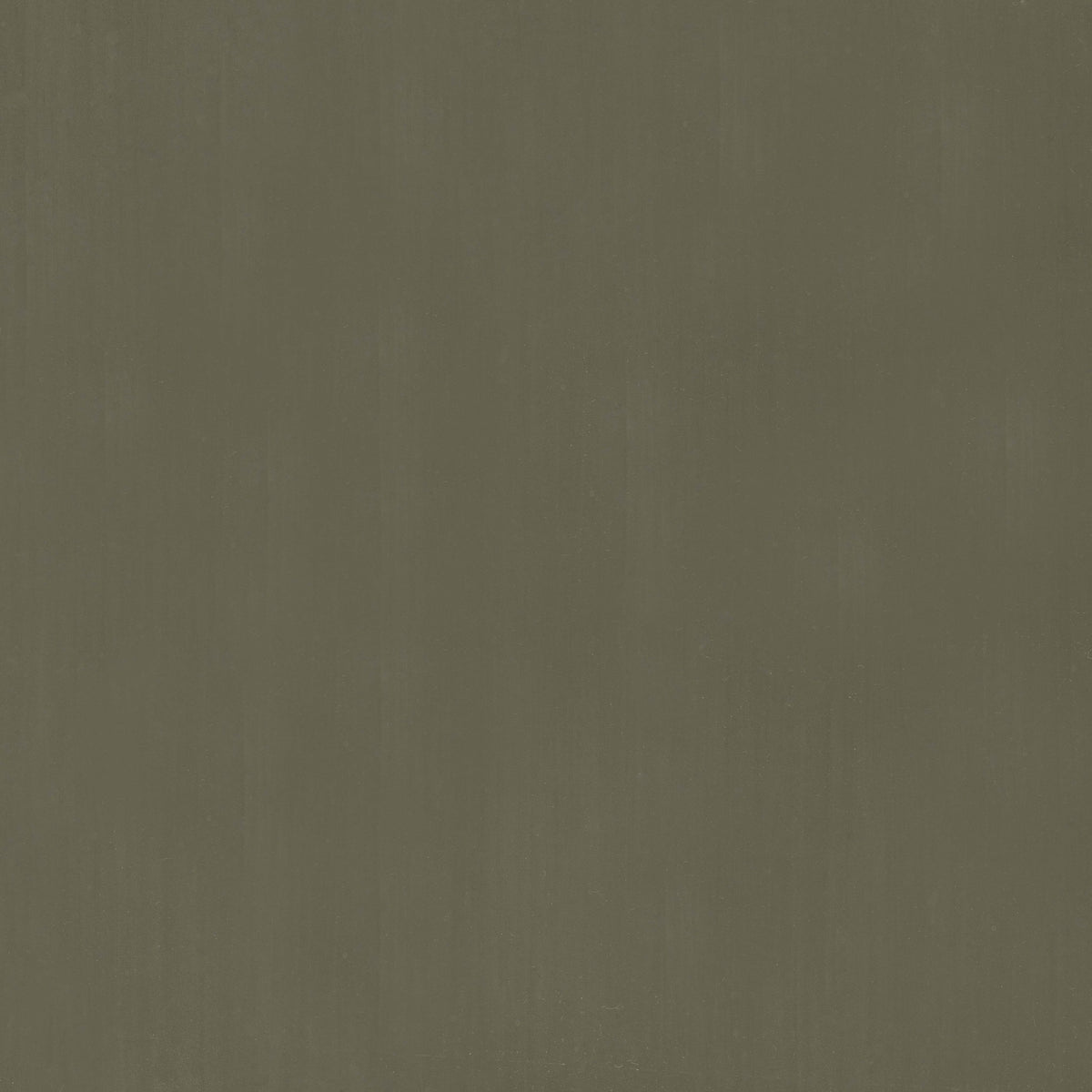 Olive Tree – Peter Lewis Paints Pty Ltd
